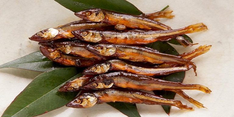 Tsukudani | JATRABRIDGE